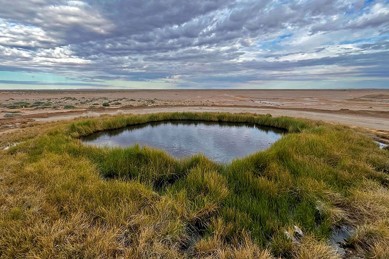 National Parks and Conservancies