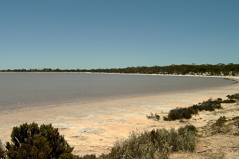 National Parks and Conservancies