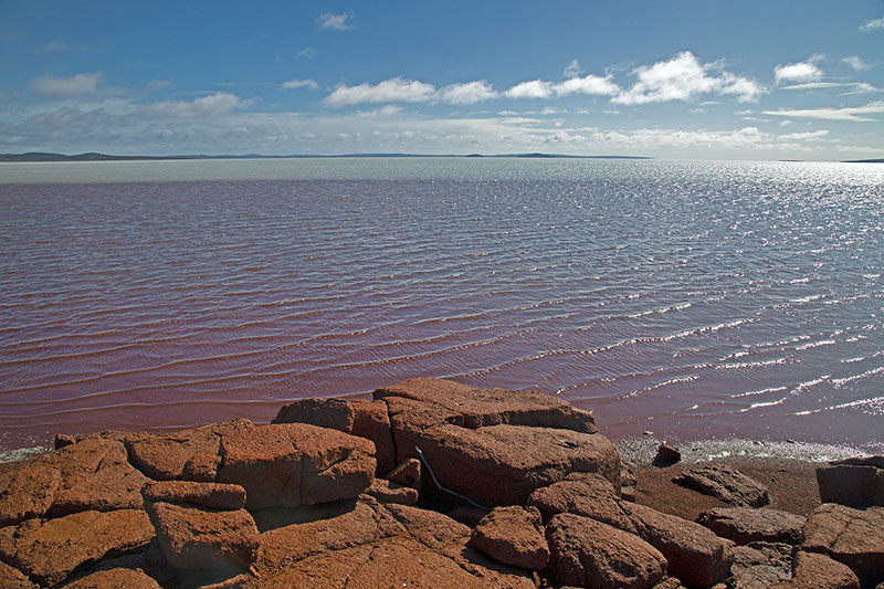 National Parks and Conservancies