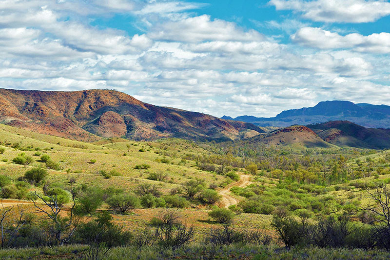 National Parks and Conservancies